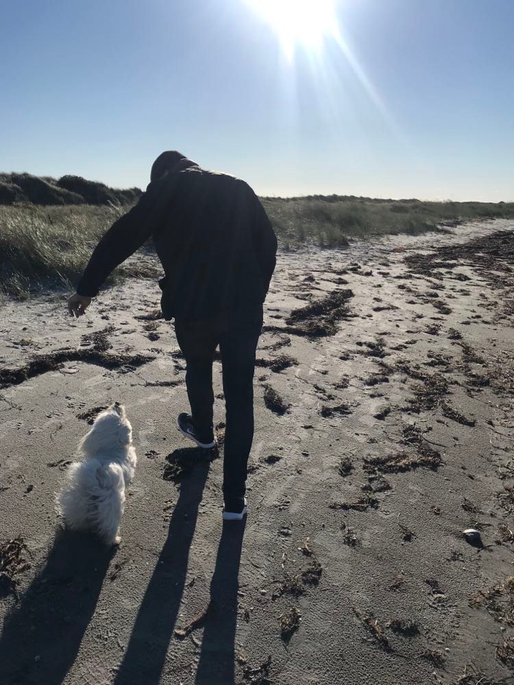 Art by Thorius - Art By Thorius